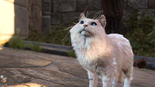 The Baldur's Gate 3 Cats, Ranked - Digital Mediaverse